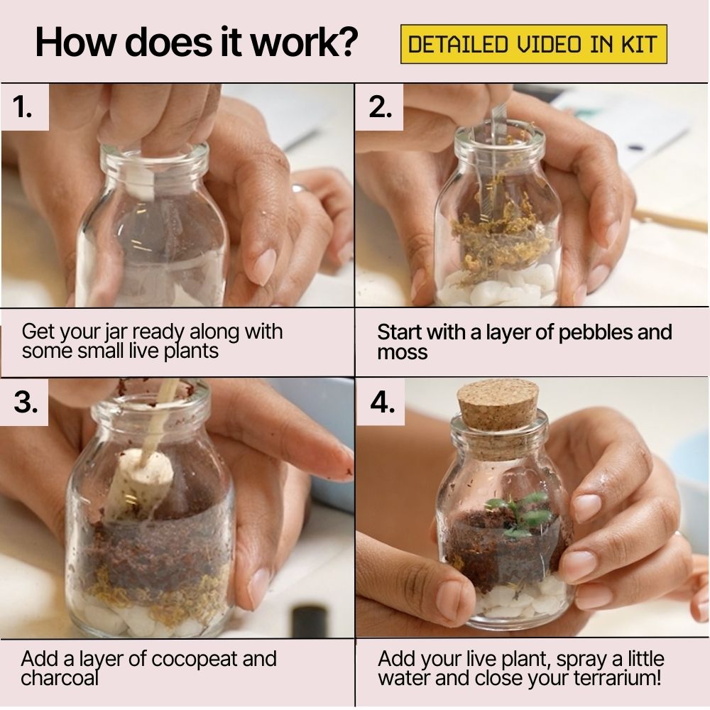 DIY Mini Terrarium Kit – Bombay Kids Company